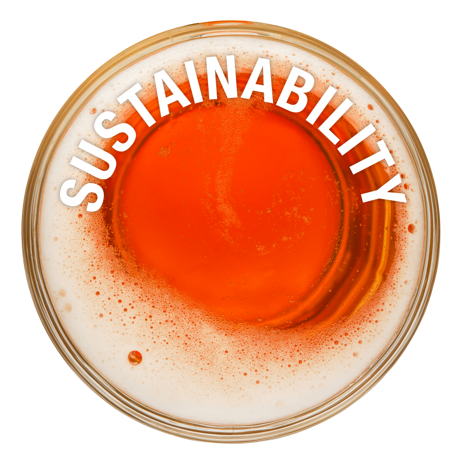 Torched Brewing | Serving Quality Craft Beer to Grand Bend and Ontario
